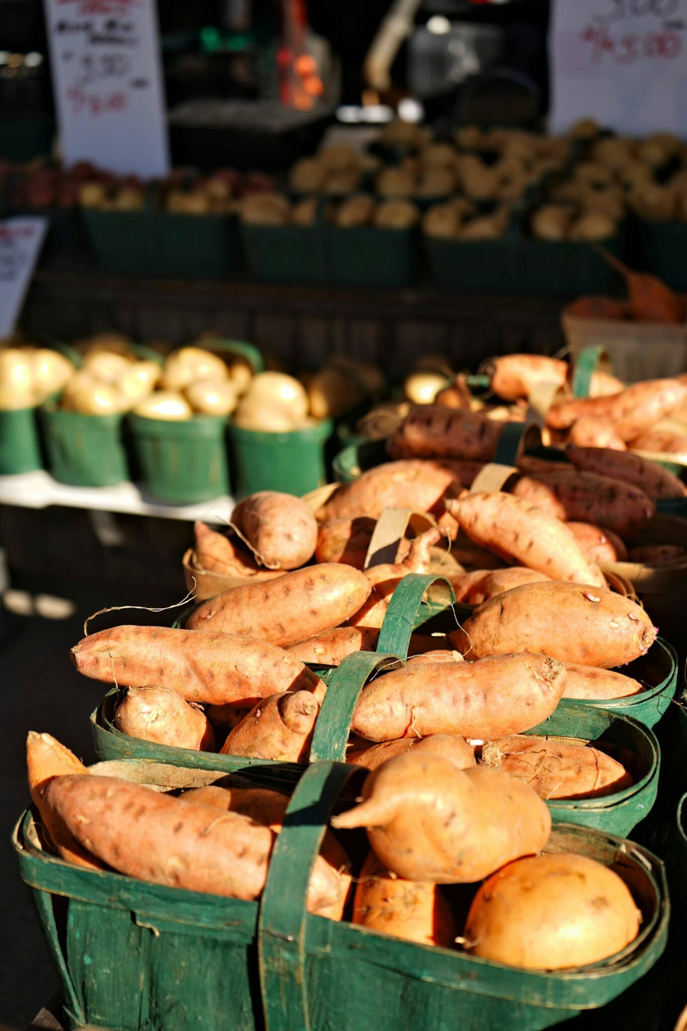 5 Grounding Foods & Teas for HSP Nervous Systems - HiSensitives